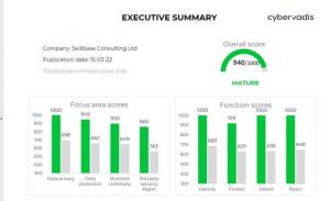 IT Cyber Security Assessment: CyberVadis - Skillbase Group